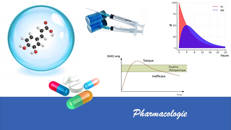 BP Préparateur en Pharmacie – Institut des études paramédicales avec chimie